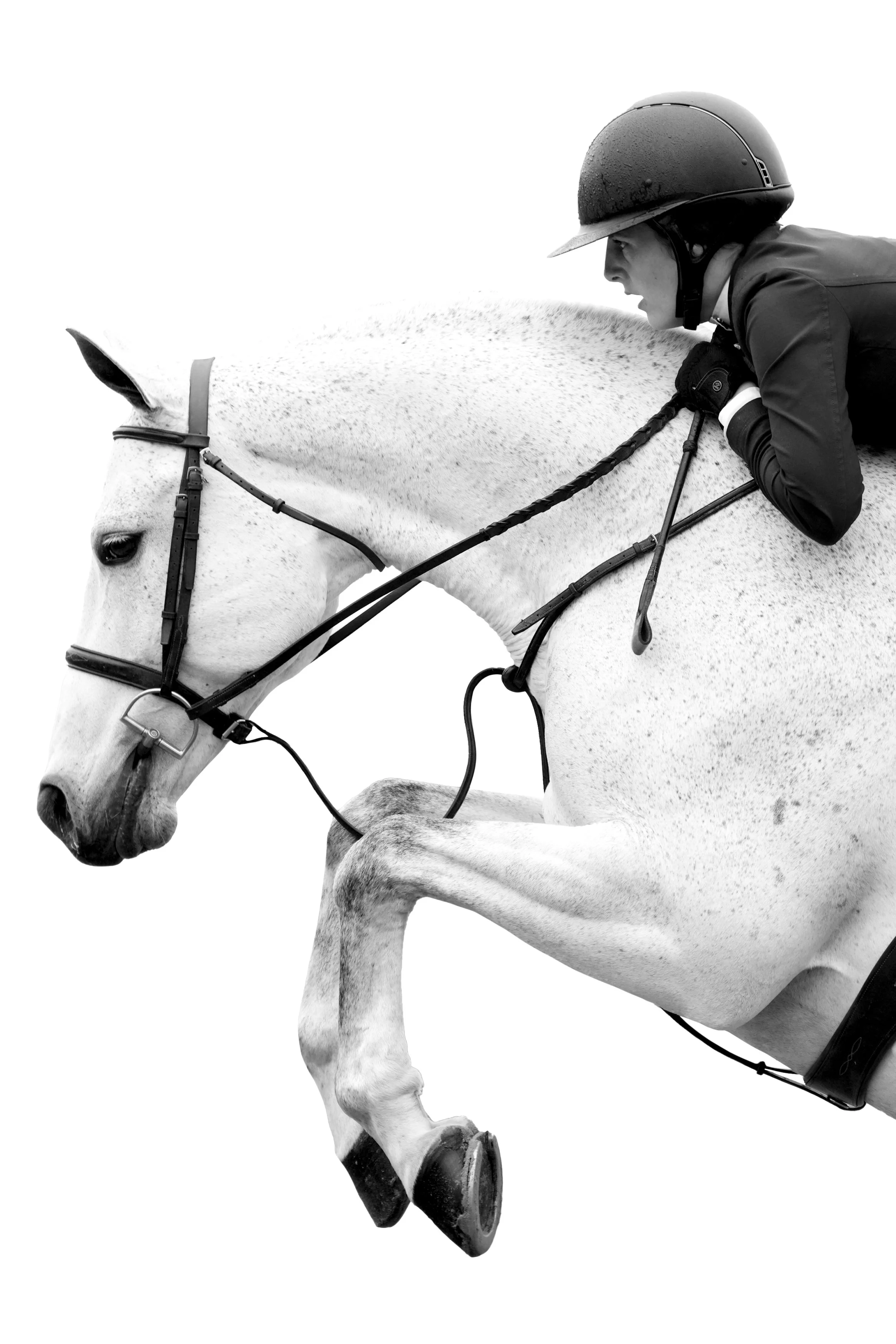 Jess Windhurst Photography