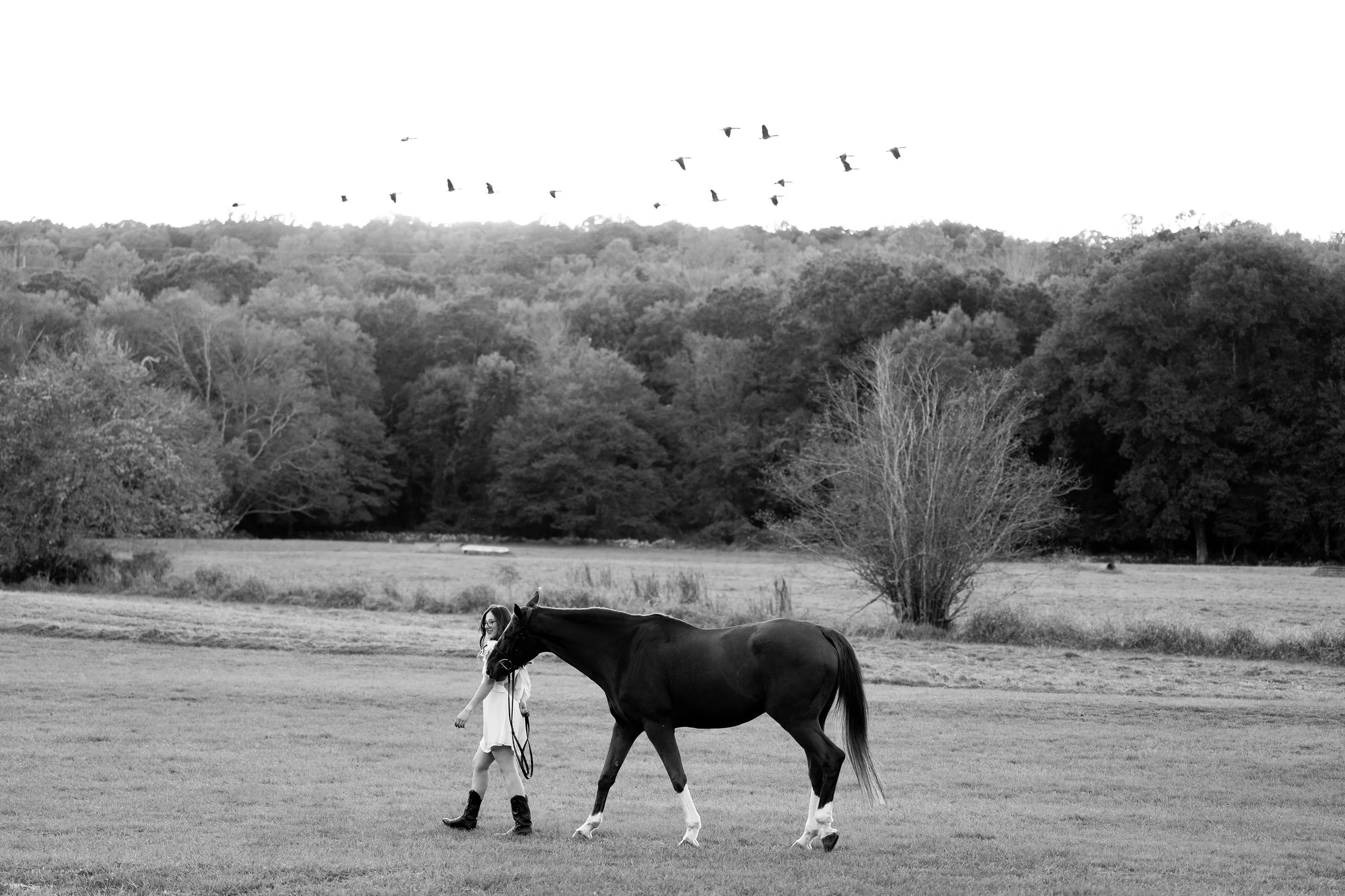 Jess Windhurst Photography