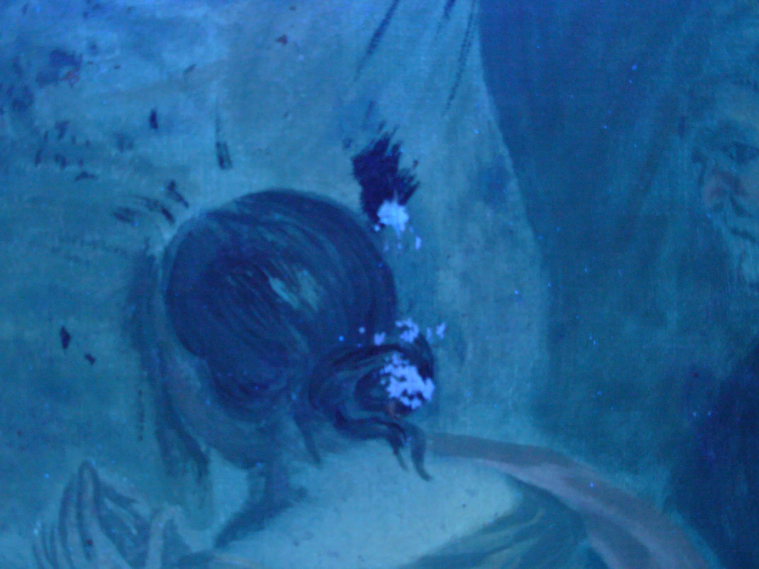 Looking at Paintings Under Ultraviolet Light: A Key Tool for Art Conservation — Atelier Art ...