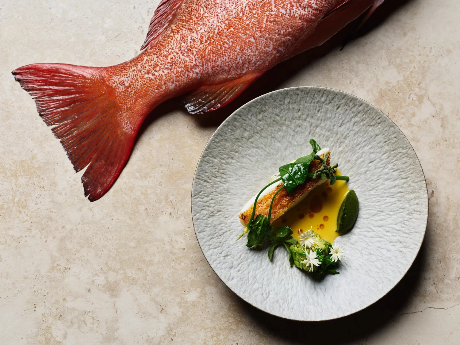 A La Carte Menu | Circular Quay | Oborozuki | Japanese - French Fine ...