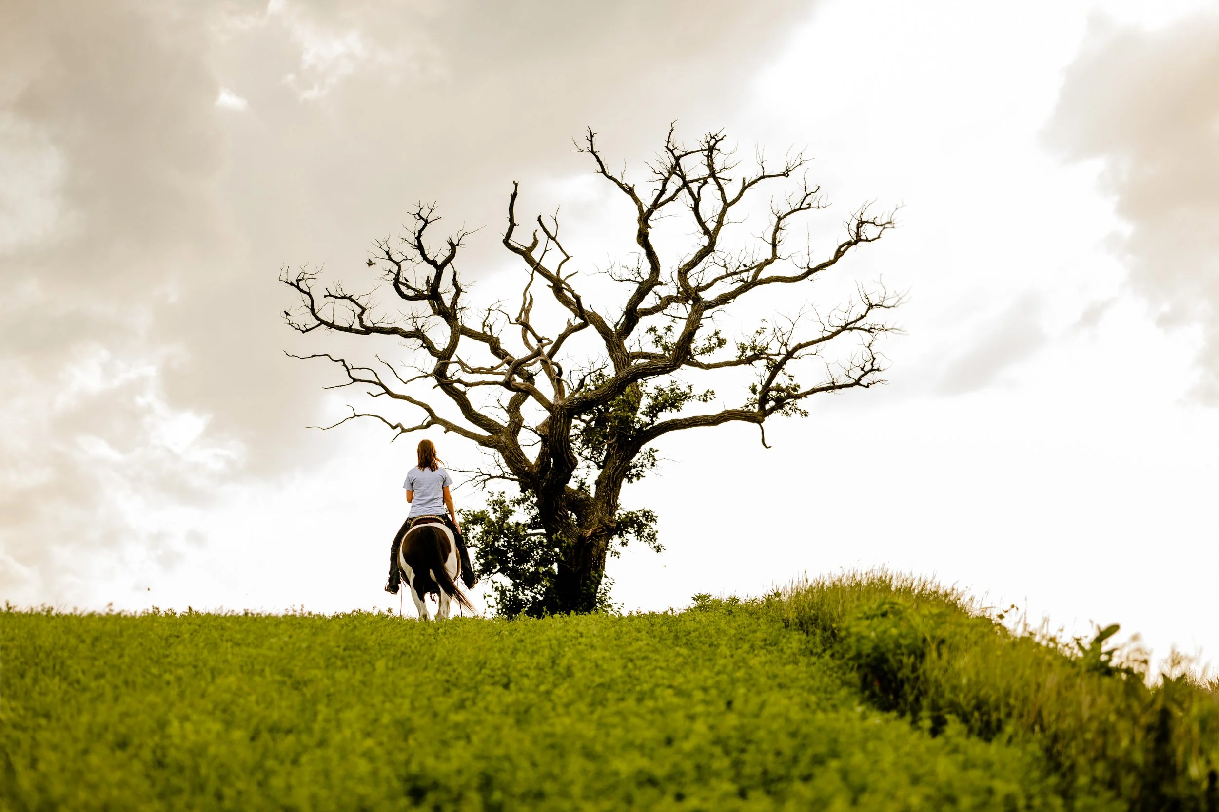 Our Story — Beringer Family Farms