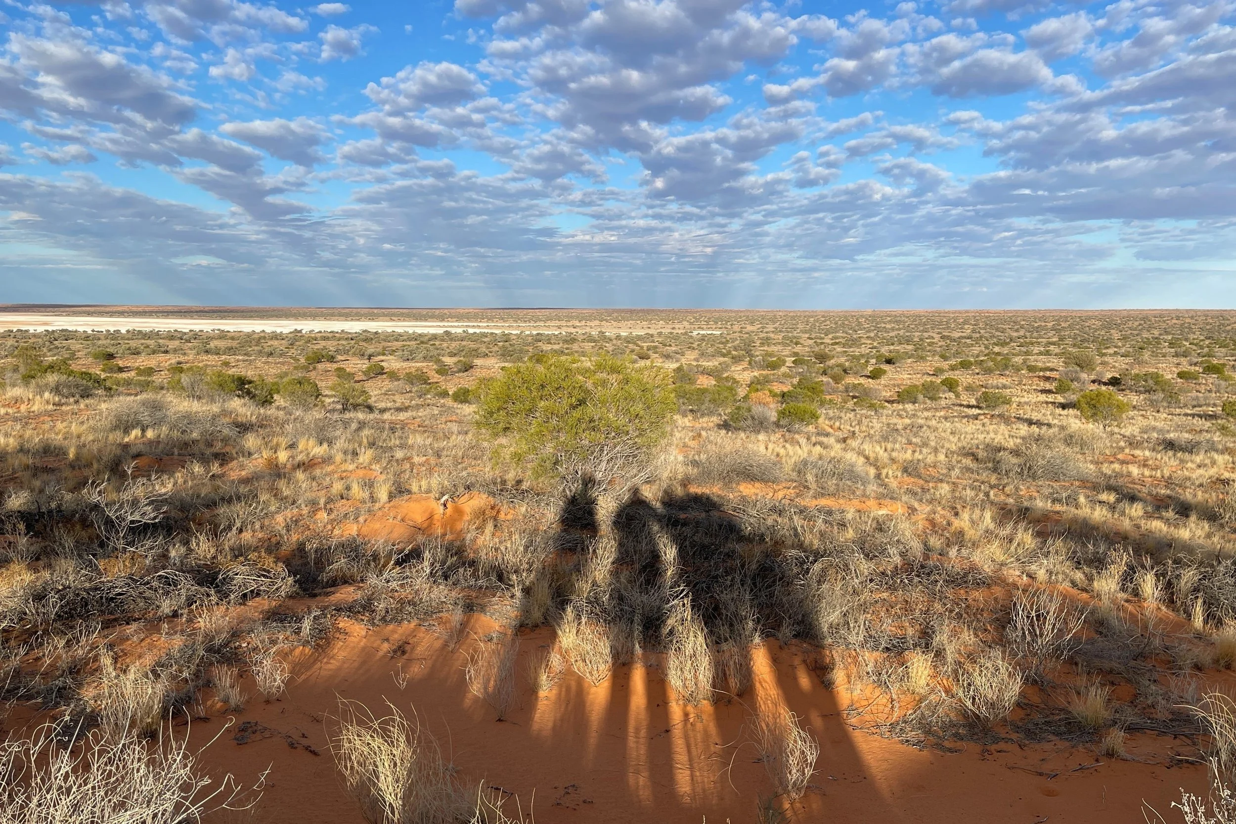 REMOTE AUSTRALIANS MATTER - What We Do