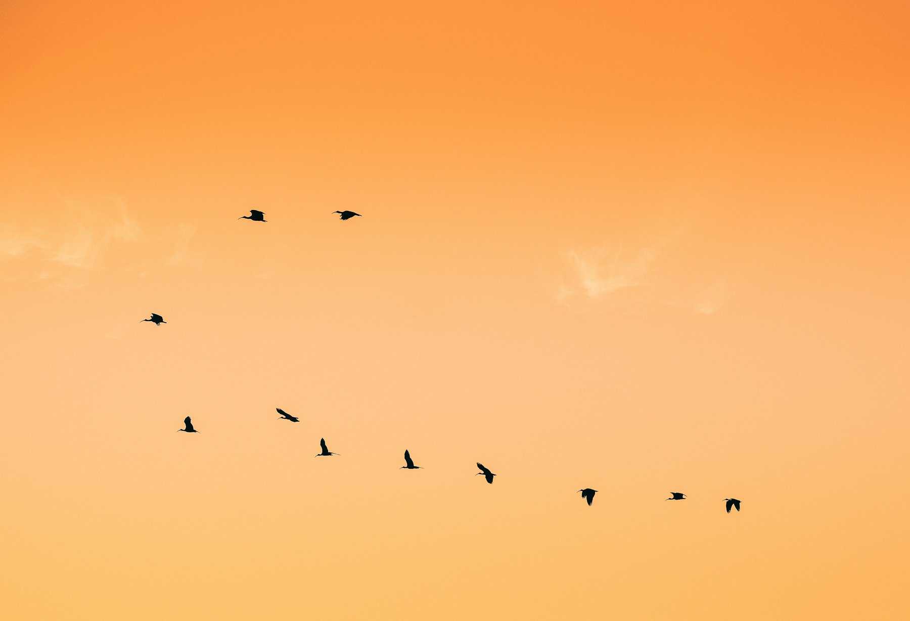 Master Negative Space: Transform Your Photography with Simplicity ...