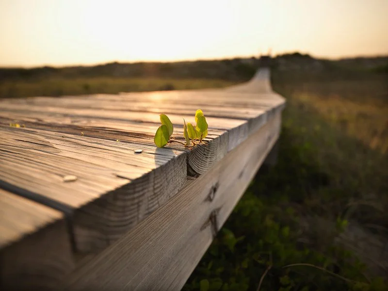 Hoarding Academy - training and events, help and support