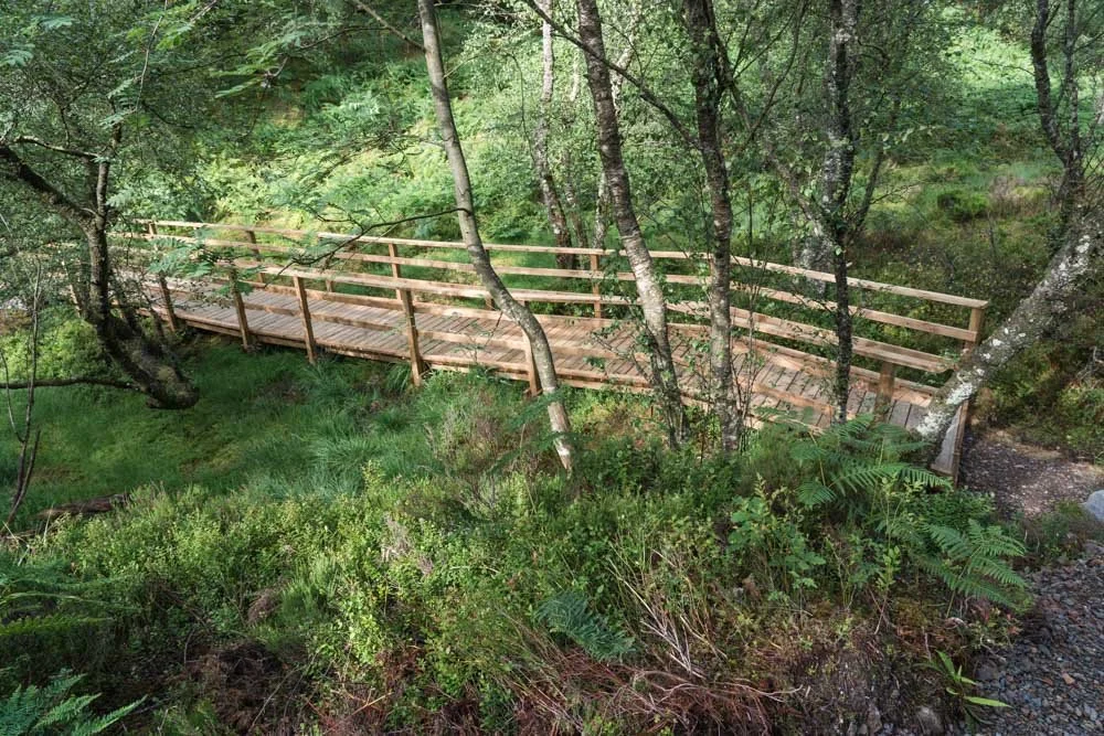 Loch Katrine Cruises Scenic Watchtower — Loch Katrine Cruises