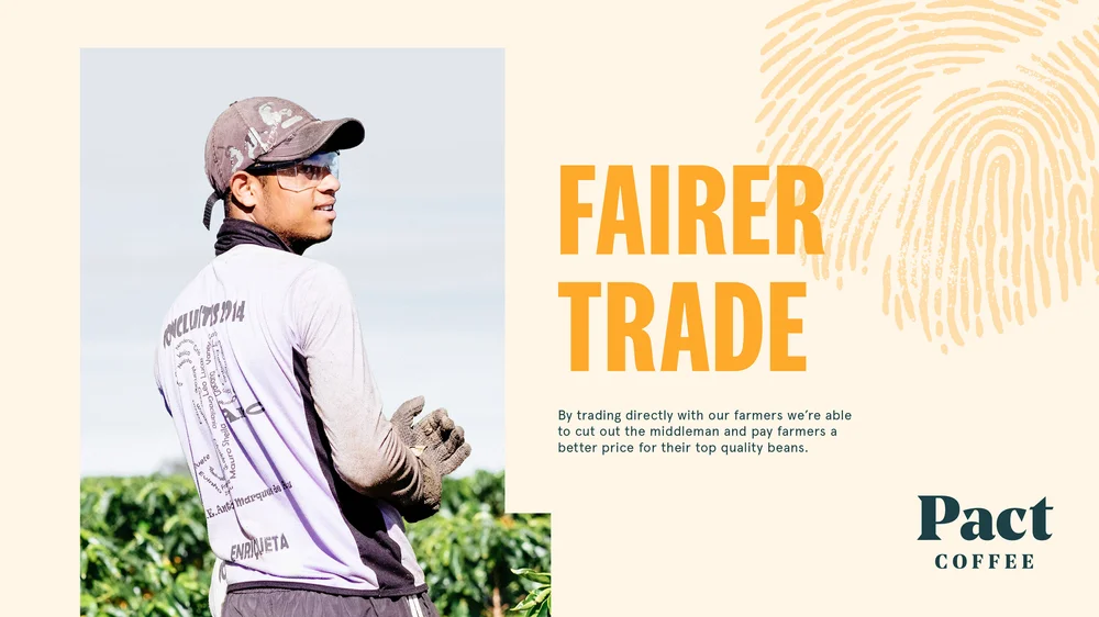 Pact Coffee rebrand | The Playground Studio (Copy)