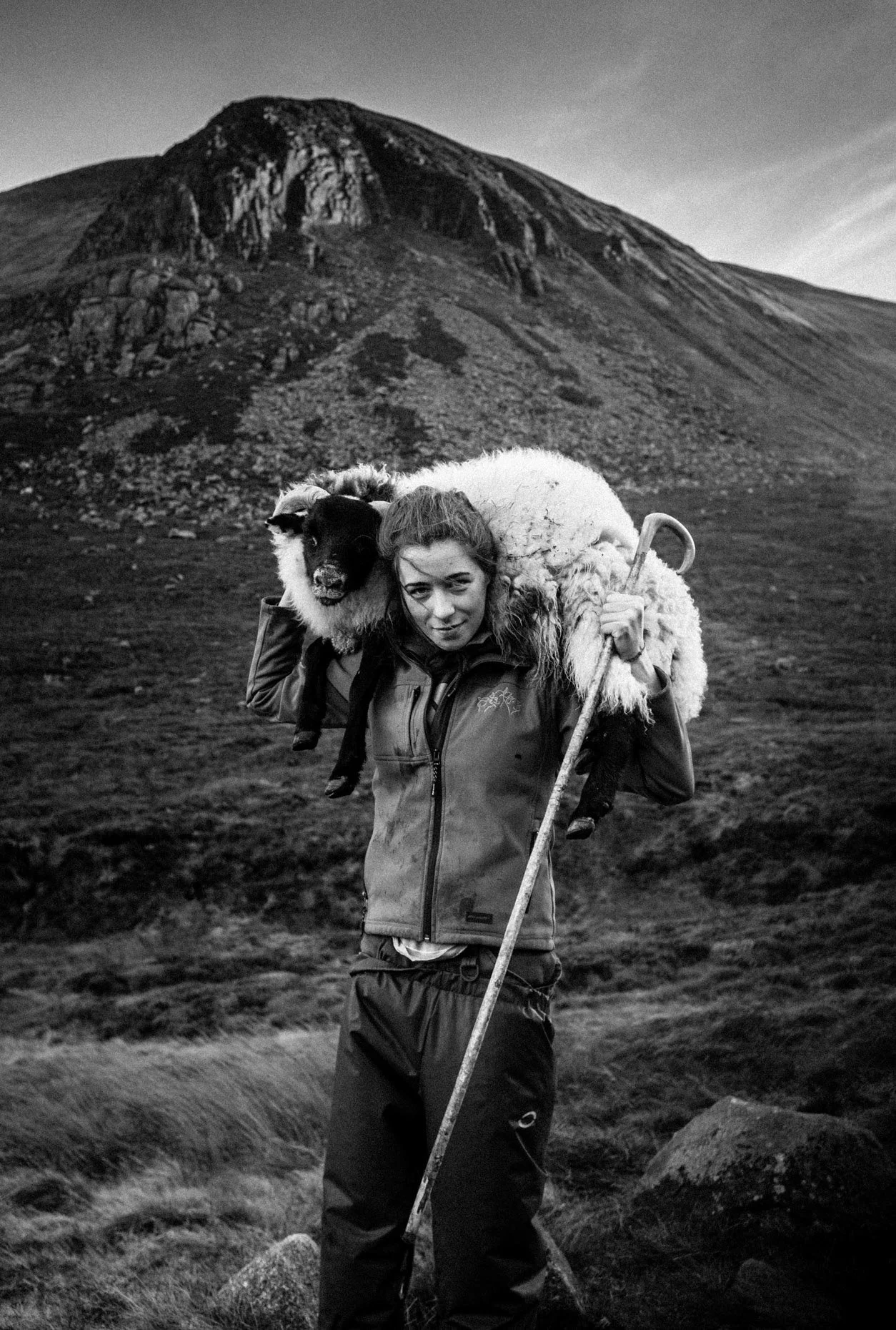 Matt Licari PHOTOGRAPER