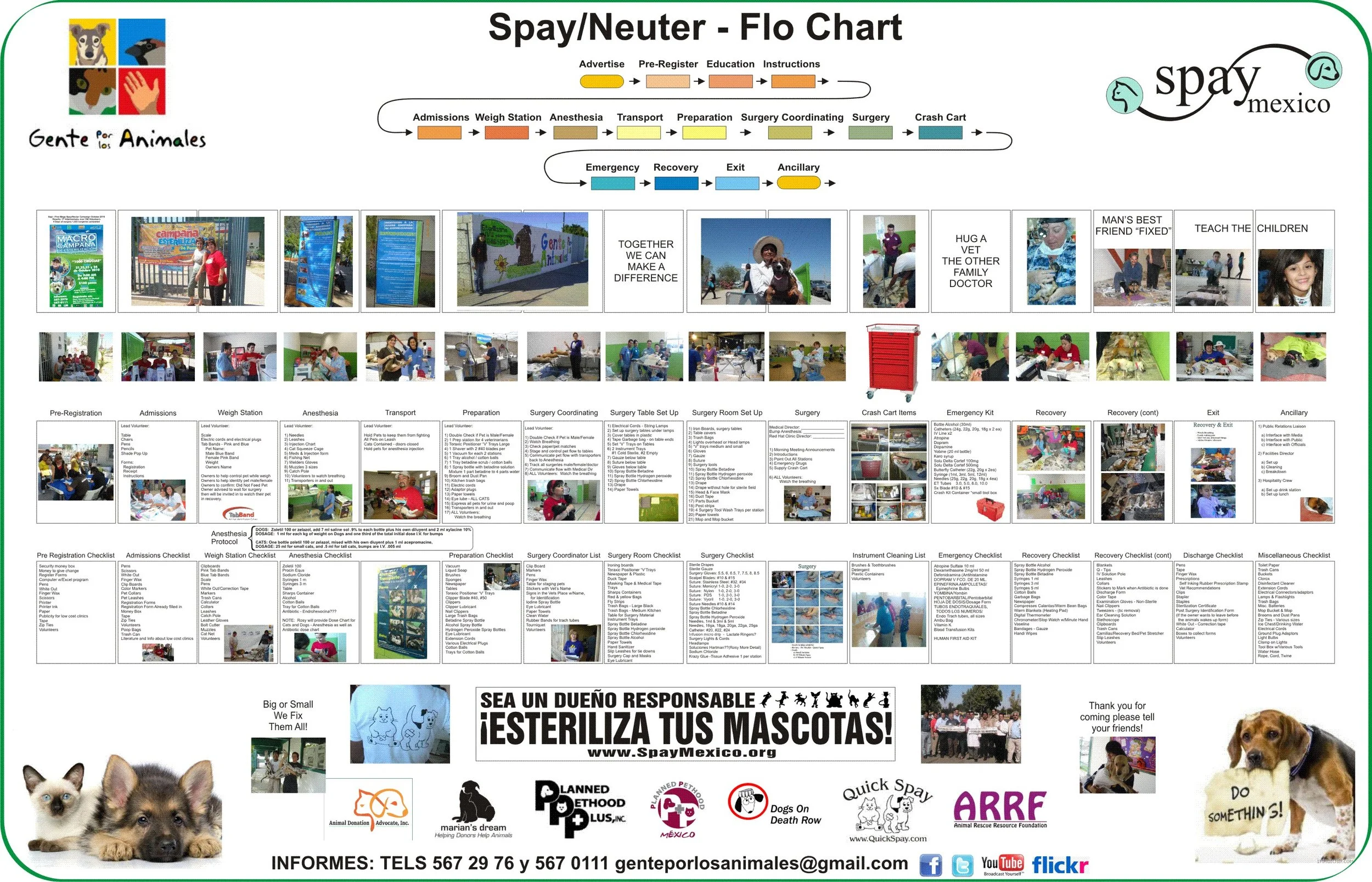 Spay Global