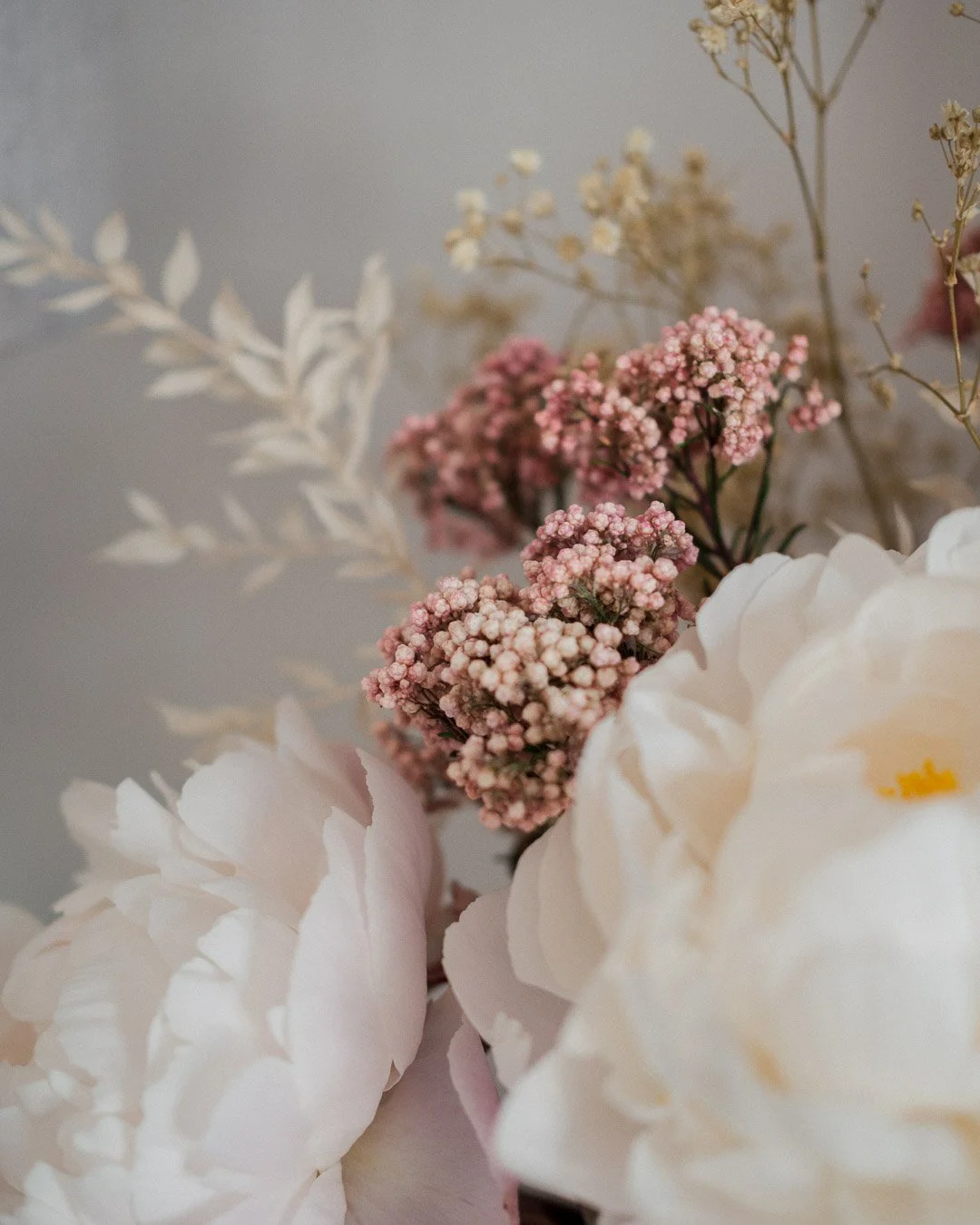 Botanical | Preserved stems or dried flowers and where to source them ...