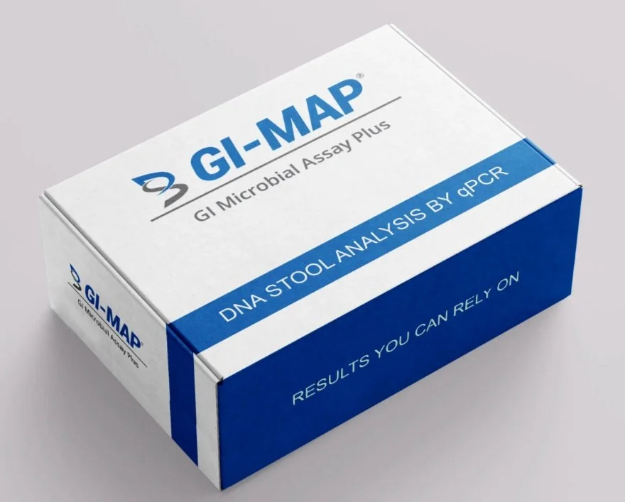 Why the GI MAP is a Game Changer for Gut Health — Wholistic Renewal