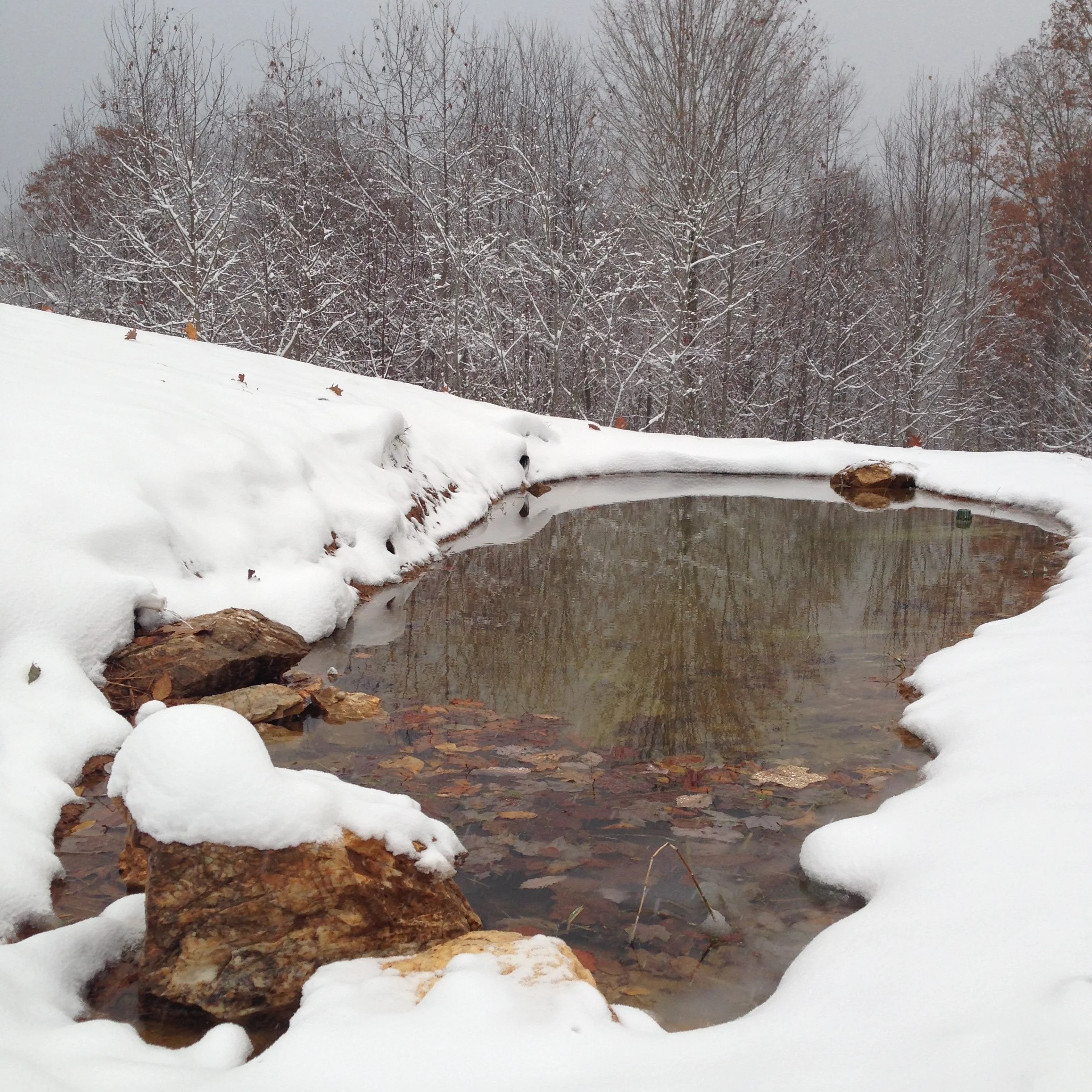 Regenerative water — Asheville Drainage