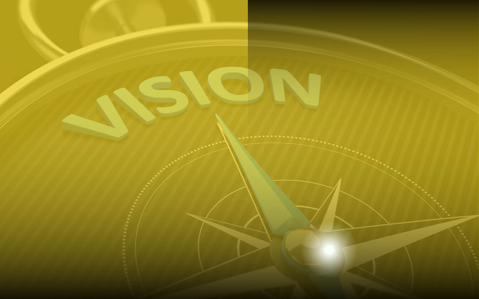 Mission & Vision — Islamic Maryland Action Network