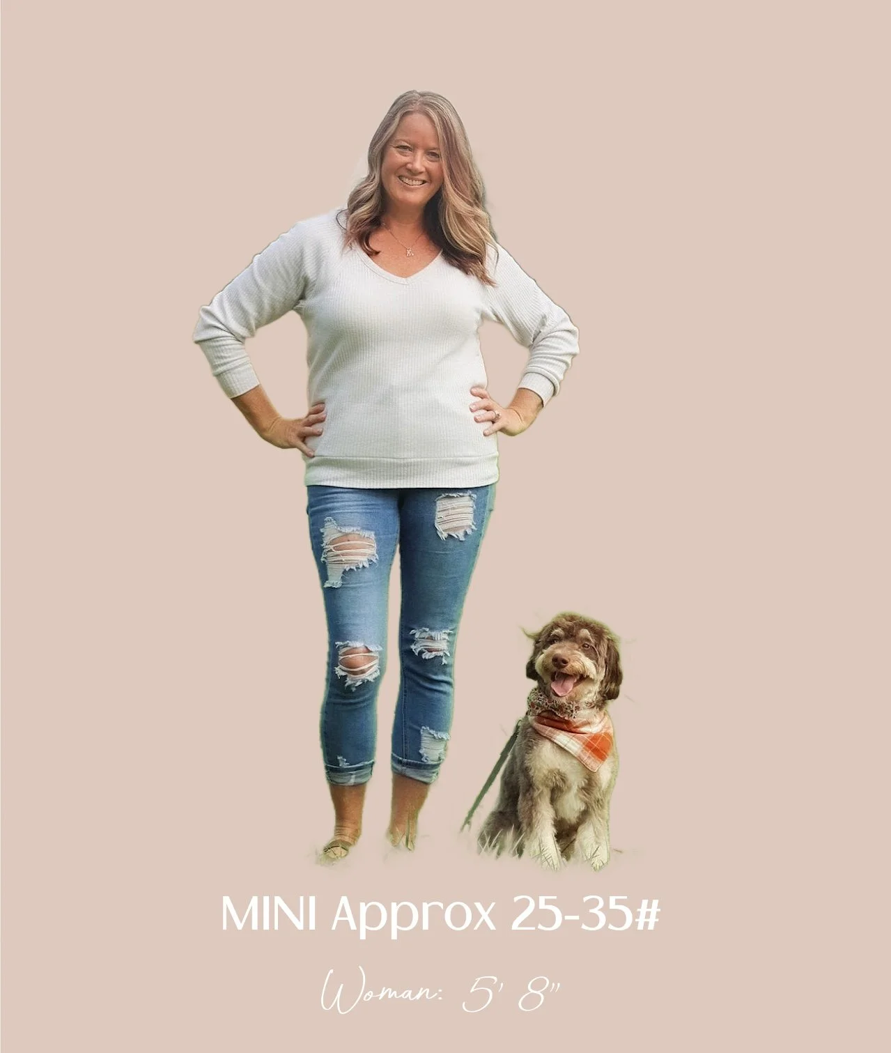 PRICING & SIZING — DoodleDee Goldendoodles & More