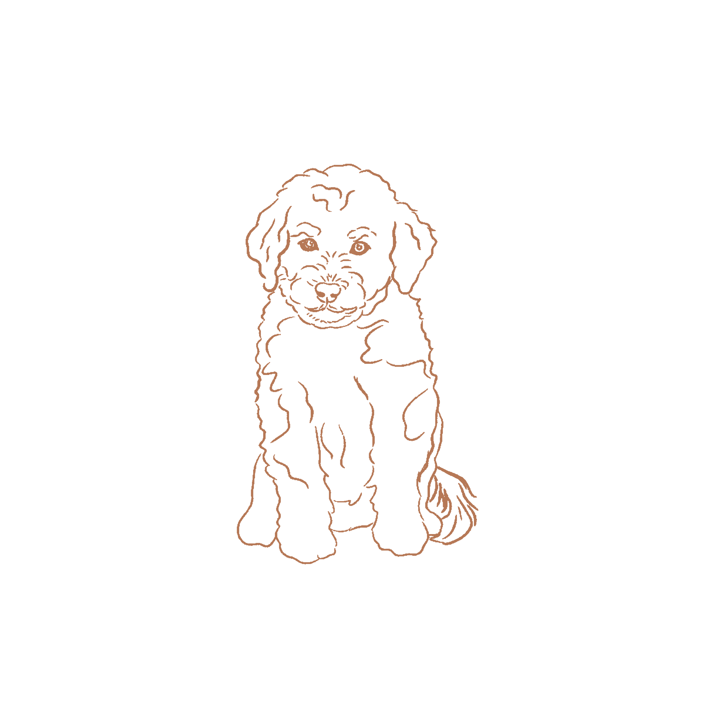 NURSERY — DoodleDee Goldendoodles & More