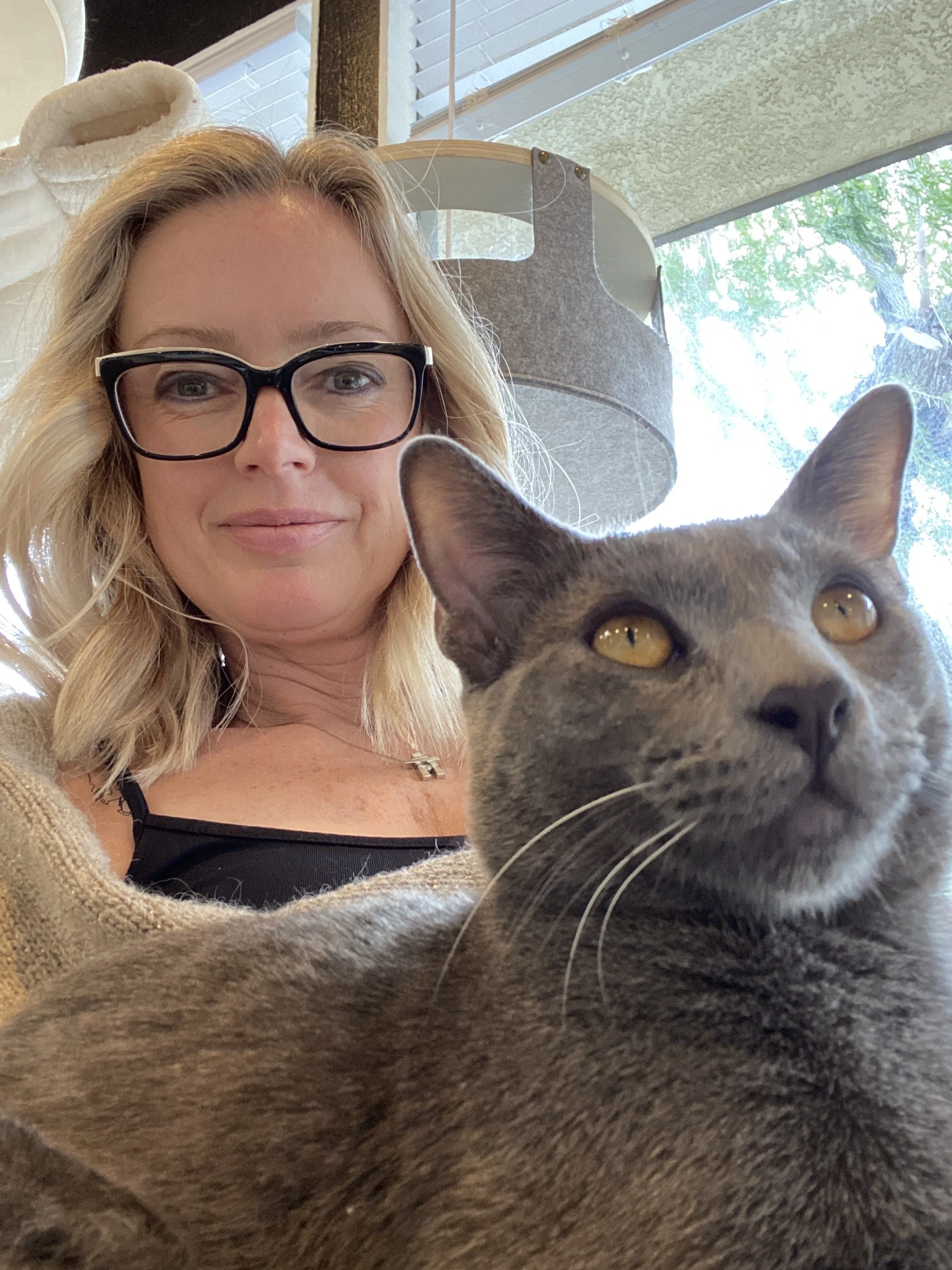 Frisky Business Cat Cafe & Coffee Shop | Palm Springs
