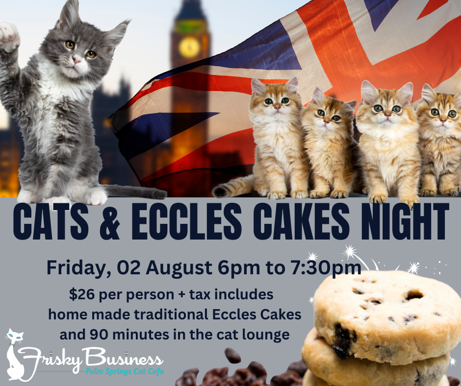 Frisky Business Palm Springs Cat Cafe