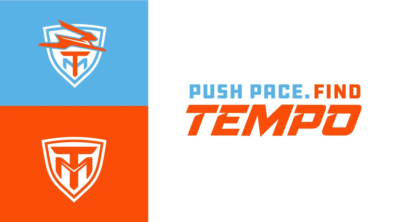 Michgan Tempo logo brand identity design — Lindsey Kellis Meredith ...