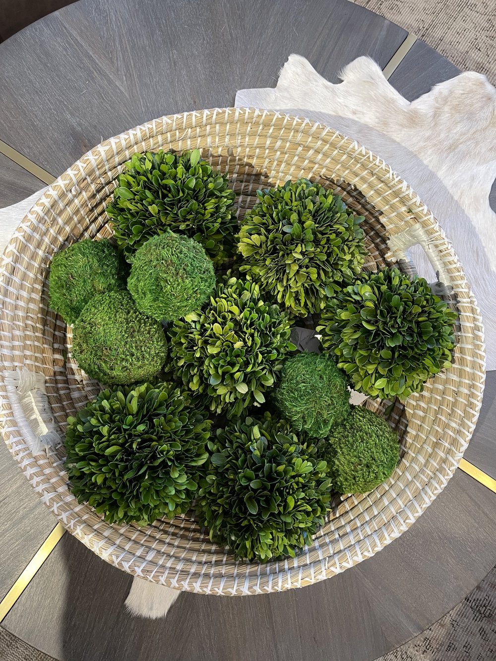 Interiors — Sesame + Lilies