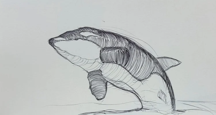 Cross Contour Drawing - The Definitive Guide (2024) — How To Practice ...