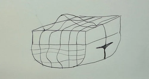 Cross Contour Drawing - The Definitive Guide (2024) — How To Practice ...
