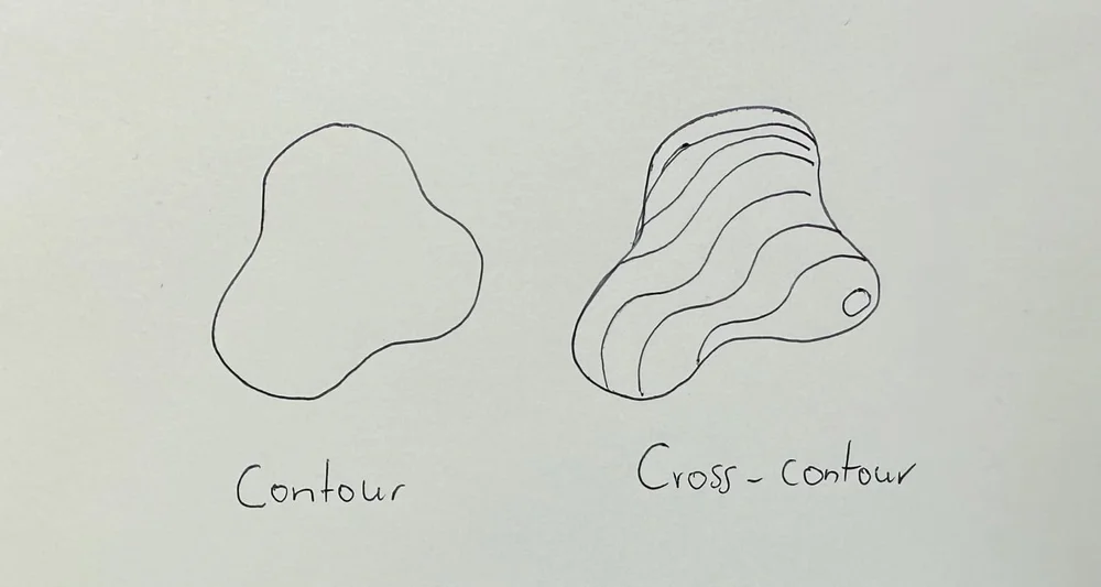 Cross Contour Drawing - The Definitive Guide (2024) — How To Practice ...