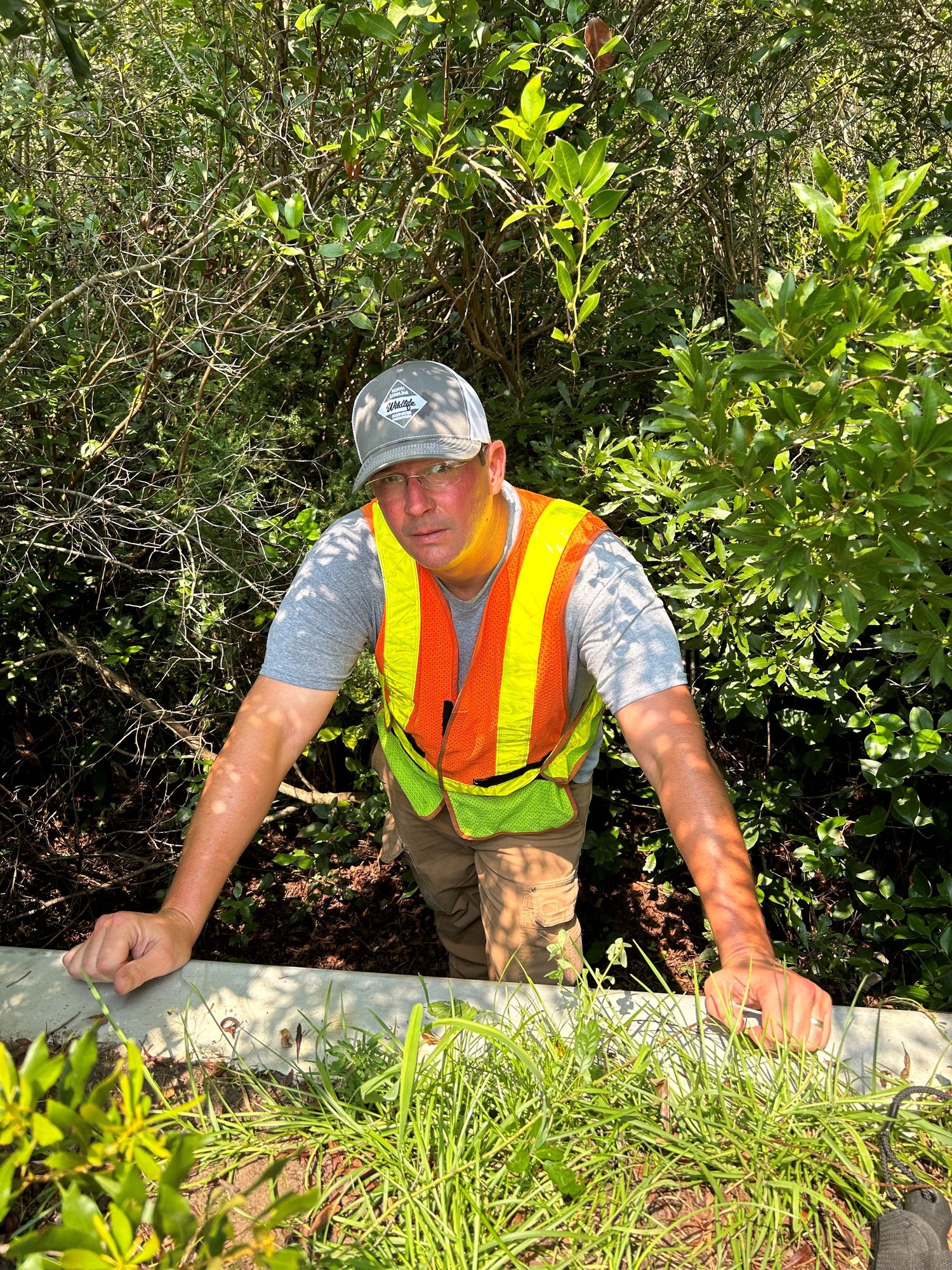 Travis Wilson — North Carolina Wildlife Corridor