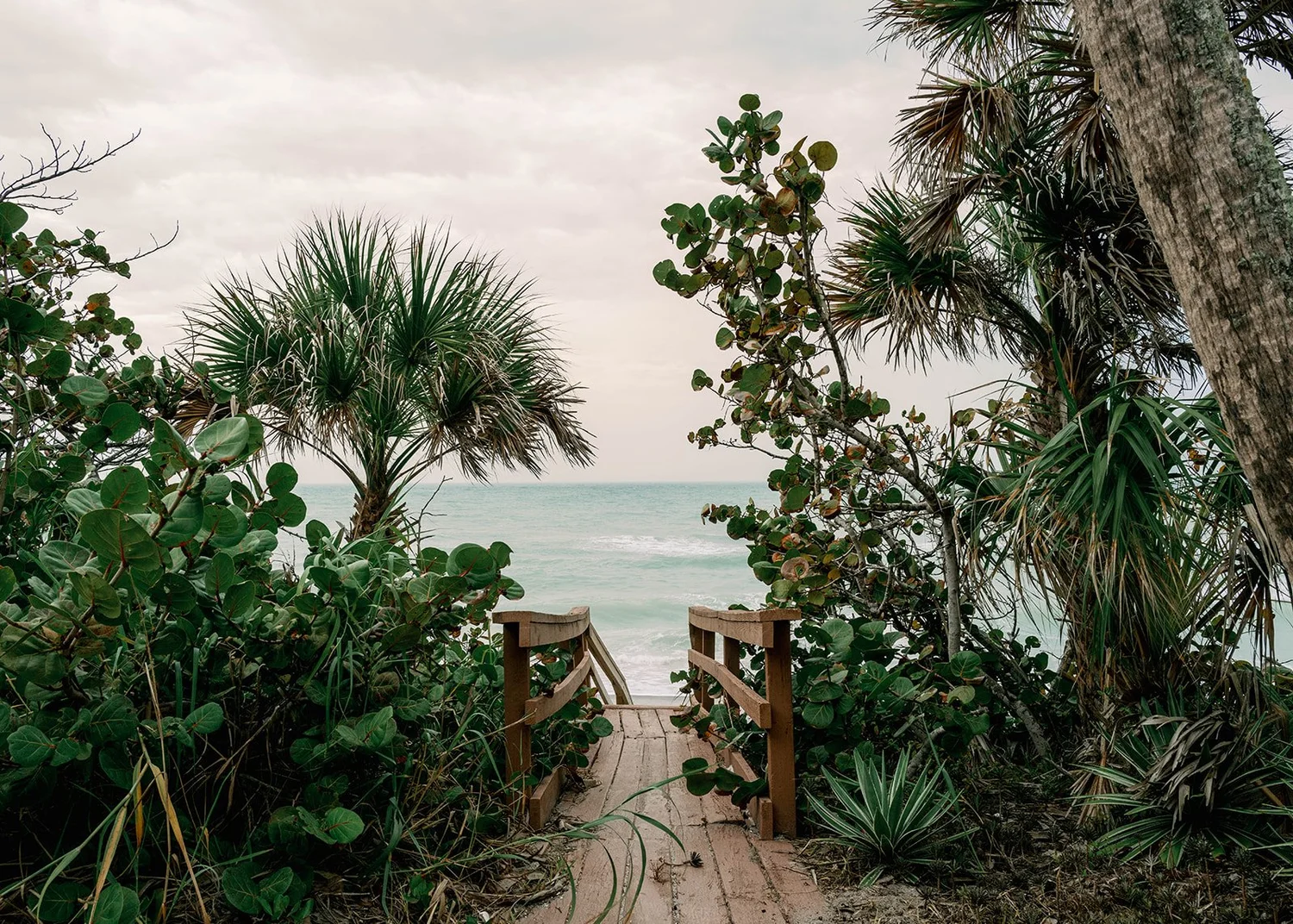 Manasota Beach Club | Historic Resort in Manasota Key, Florida