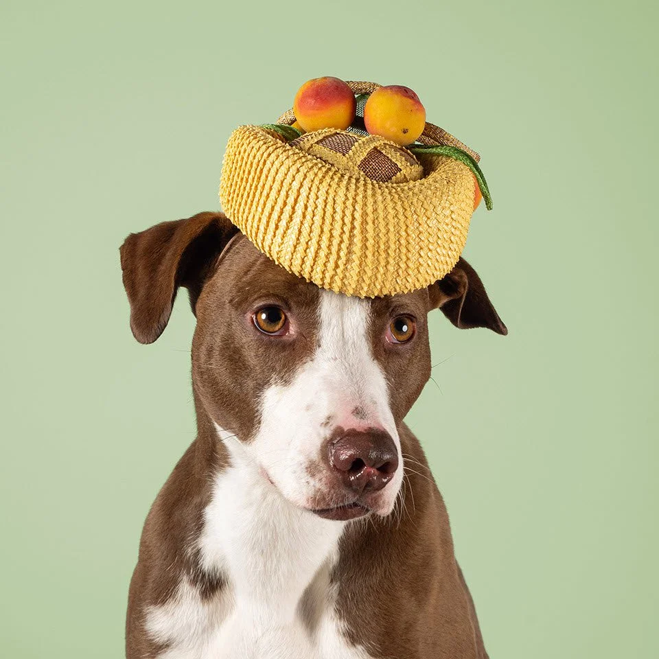 Page – Milliners Guild Organization