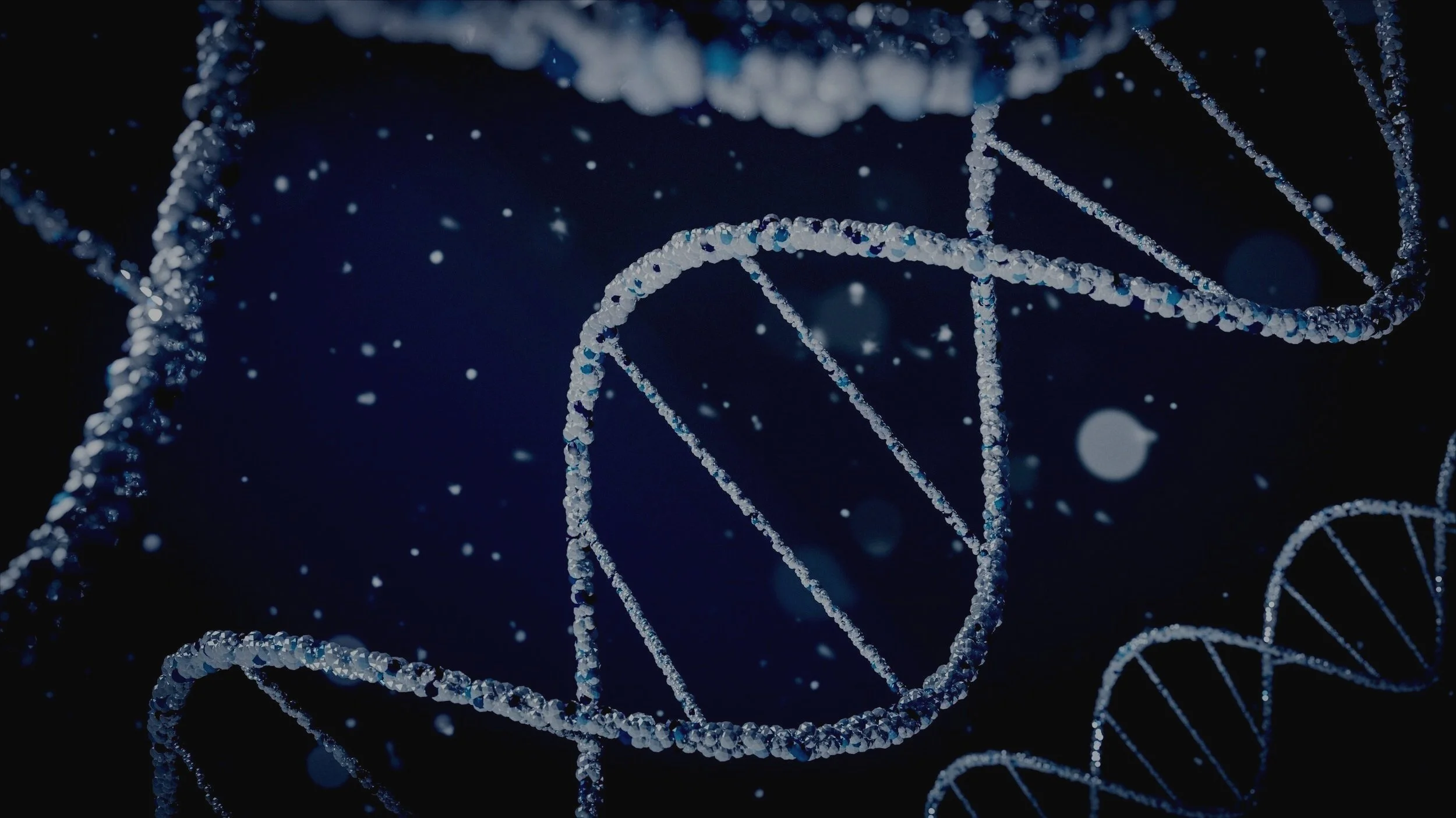 Spark Molecular Diagnostics