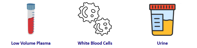Spark Molecular Diagnostics