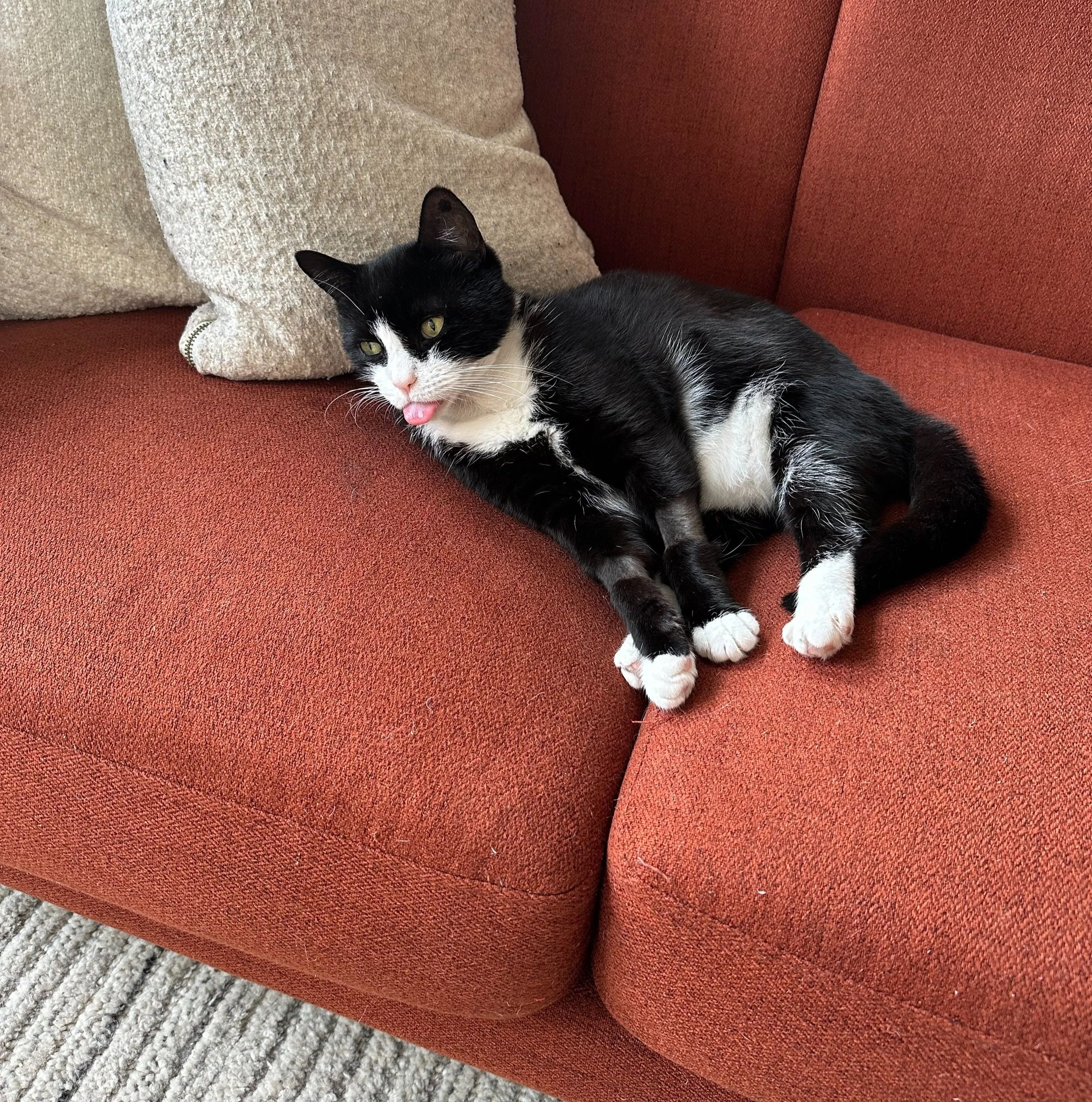 Danielle Herman Studio