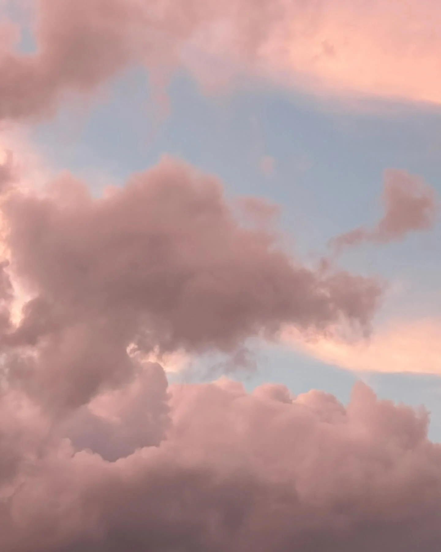 Danielle Herman Studio