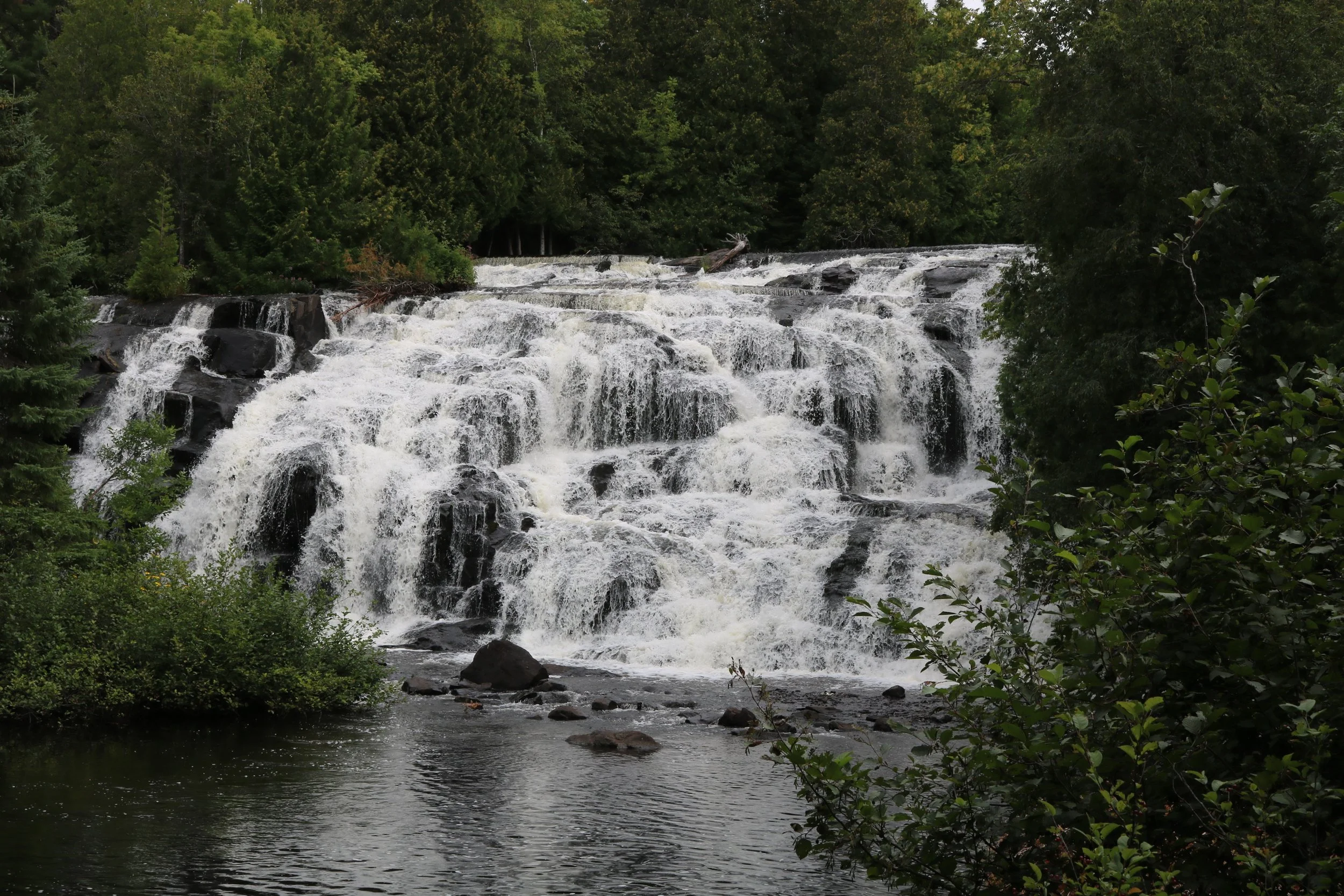 Contact — Guardianminifarm