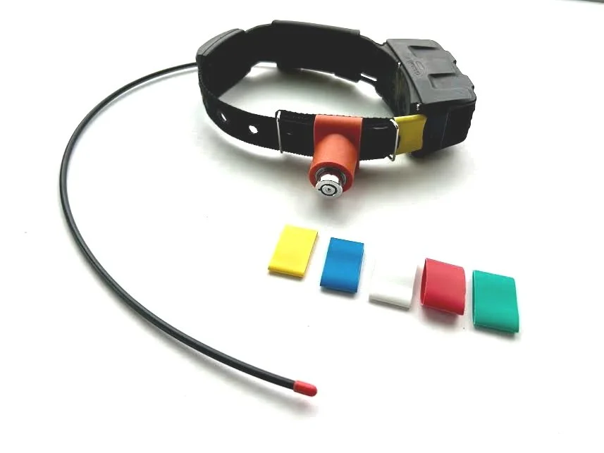 Locked Down LLC: Premium Locking Dog Collars & Straps for the Outdoor ...