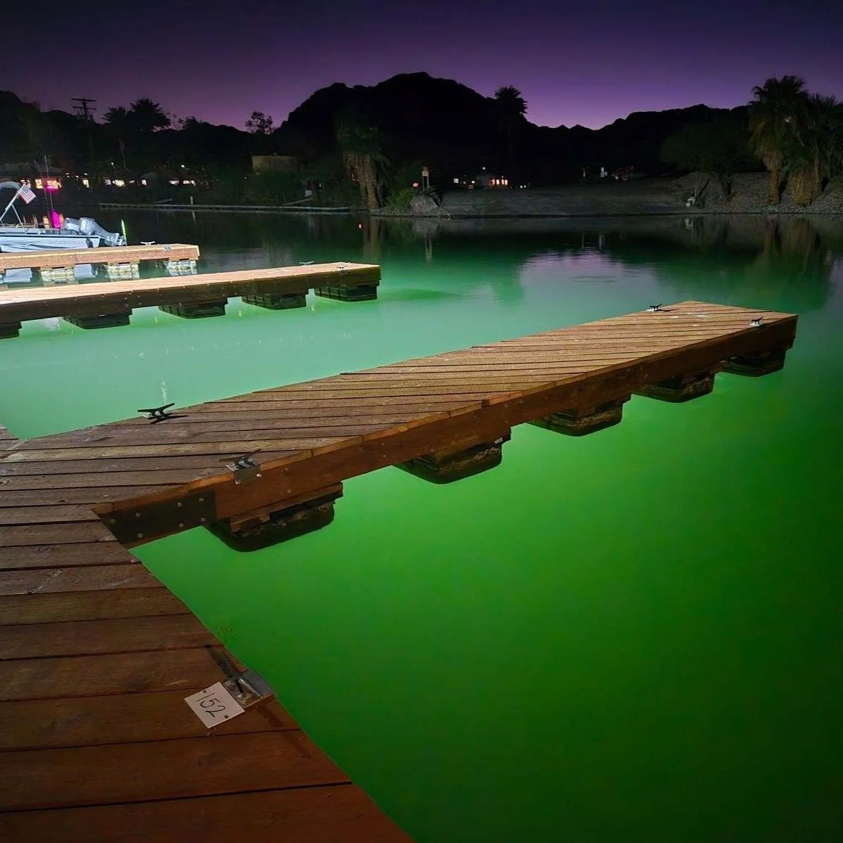 The Best Lake Havasu RV Park with Direct Lake Access — Black Meadow Landing