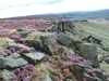 Stop Calderdale Wind Farm - Save Walshaw Moor