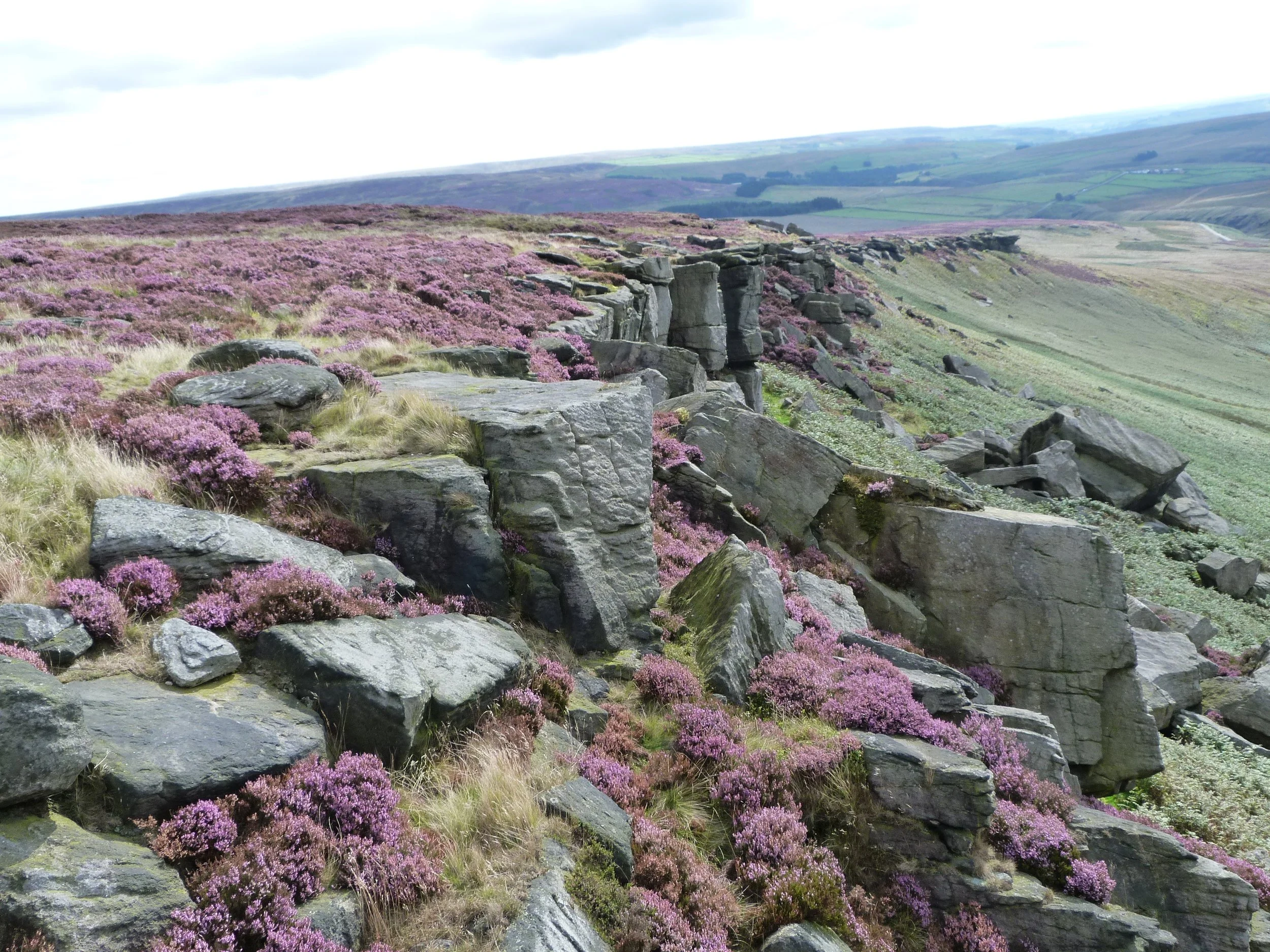 Stop Calderdale Wind Farm - Save Walshaw Moor
