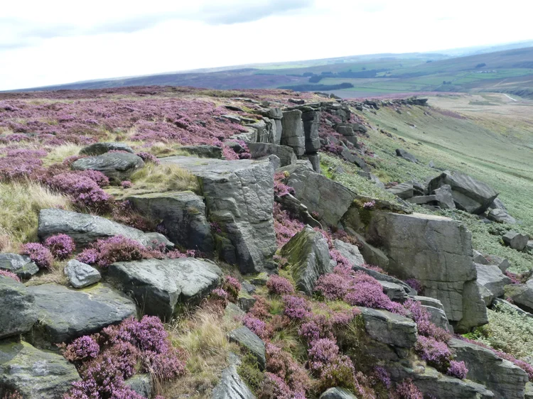 Stop Calderdale Wind Farm - Save Walshaw Moor