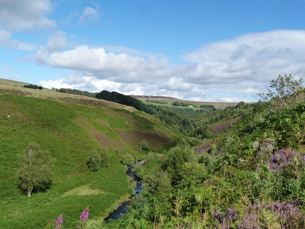 Stop Calderdale Wind Farm - Save Walshaw Moor