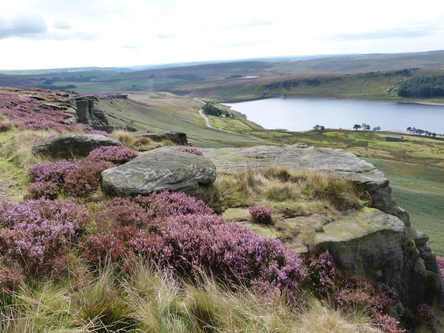 Stop Calderdale Wind Farm - Save Walshaw Moor