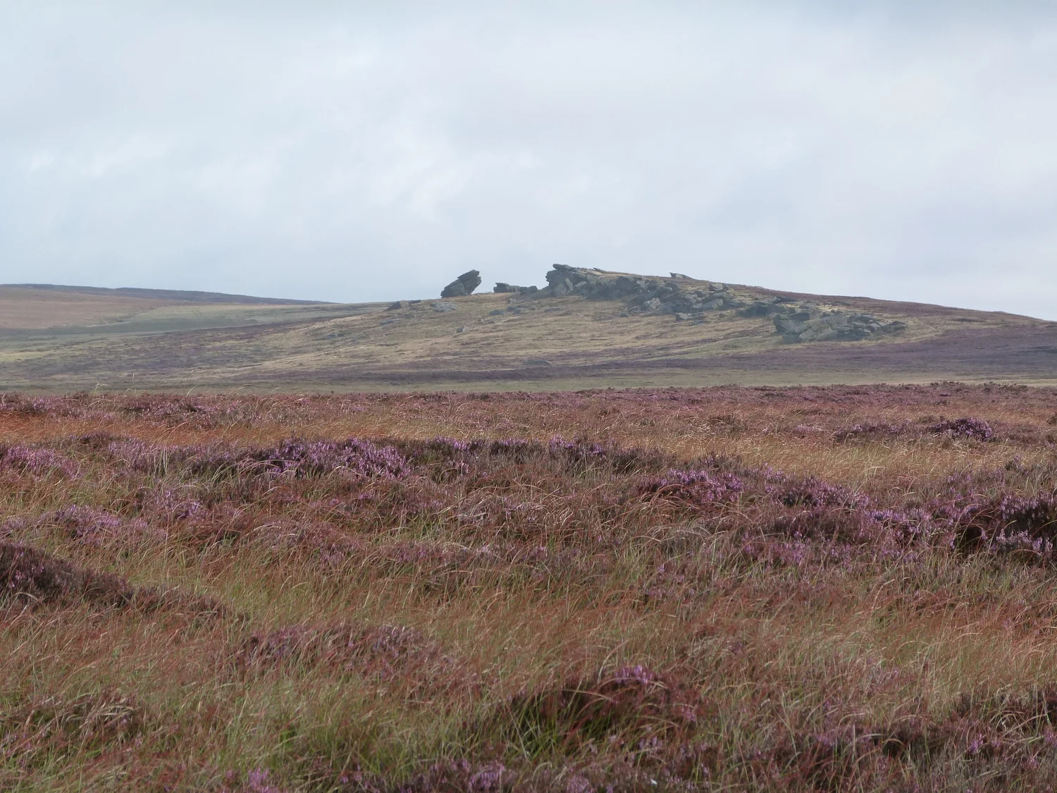Stop Calderdale Wind Farm - Save Walshaw Moor