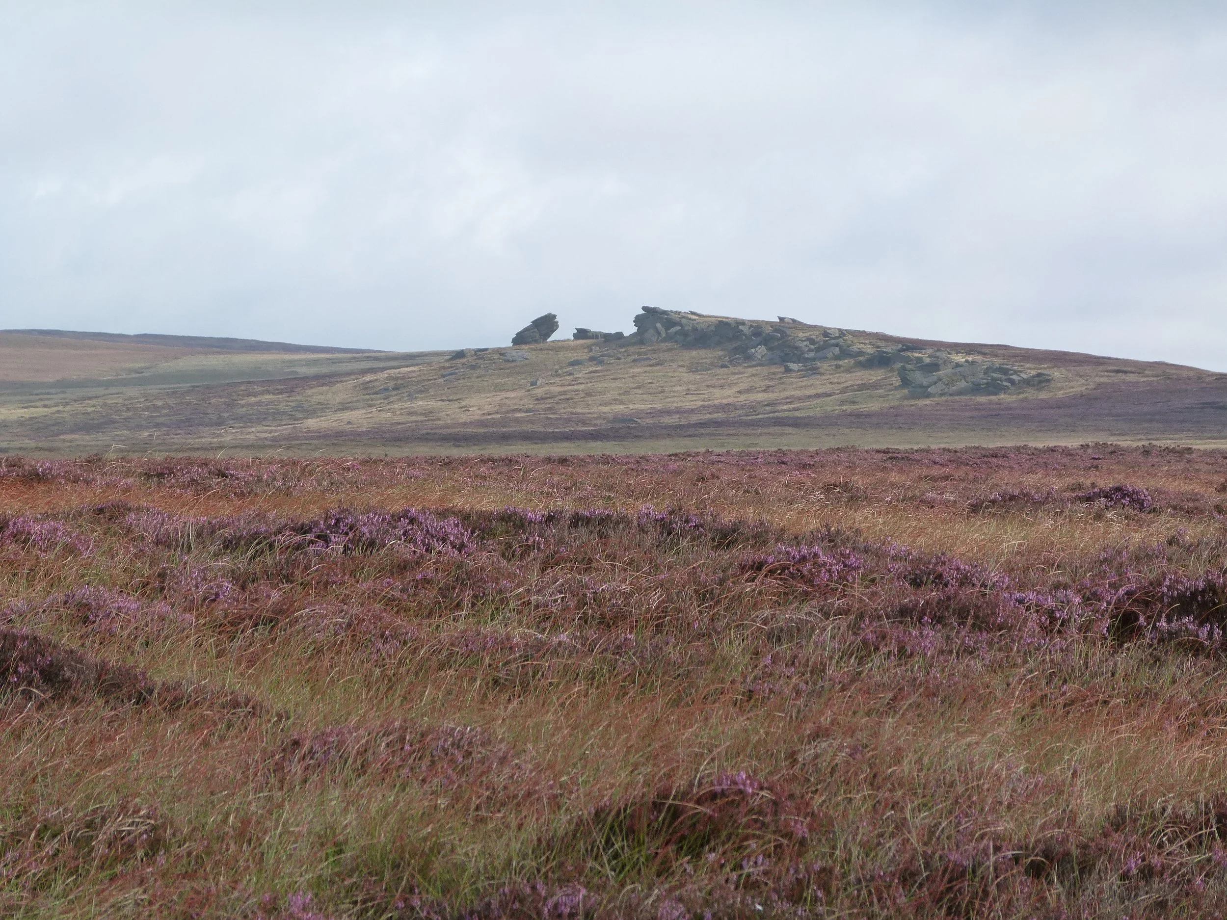 Stop Calderdale Wind Farm - Save Walshaw Moor