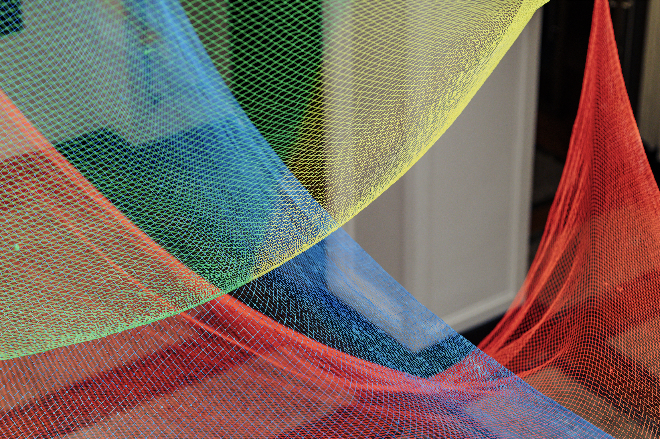 Net — Rana Begum