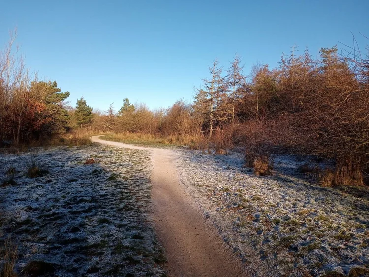 A Wilder Walkmill — West Cumbria Rivers Trust