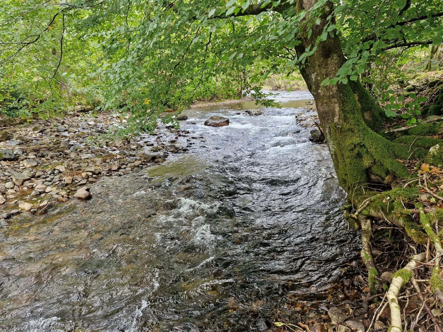 Trails - River Walks Cumbria — West Cumbria Rivers Trust