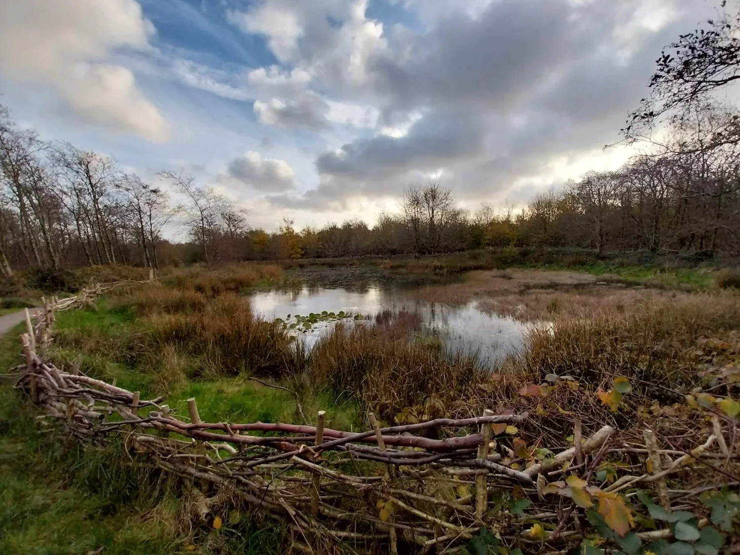 A Wilder Walkmill — West Cumbria Rivers Trust