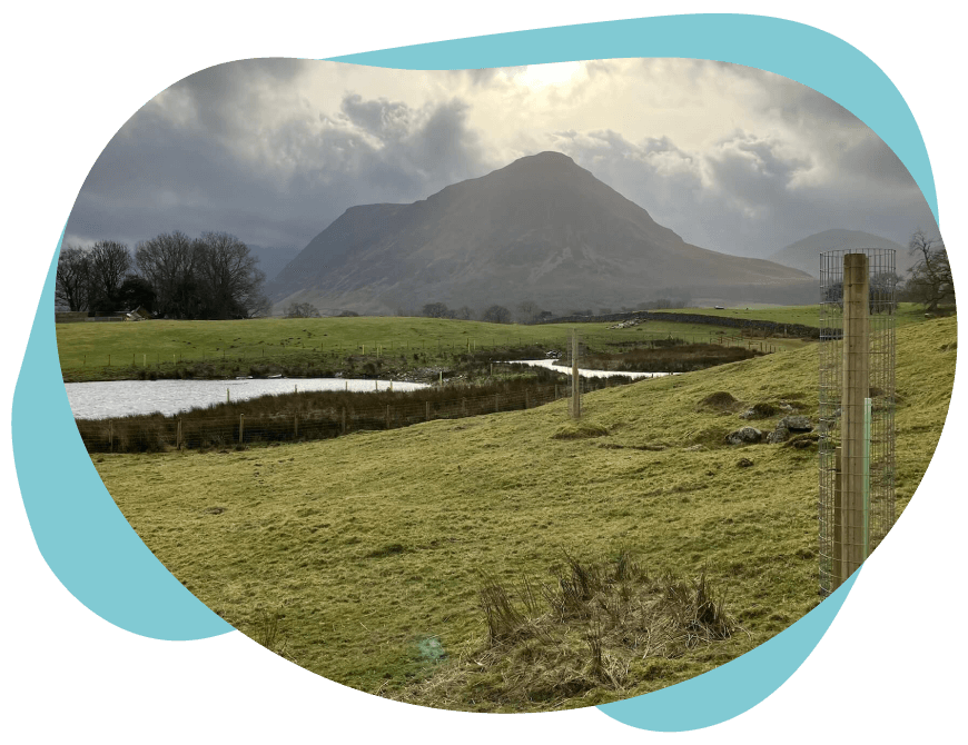 All Projects — West Cumbria Rivers Trust