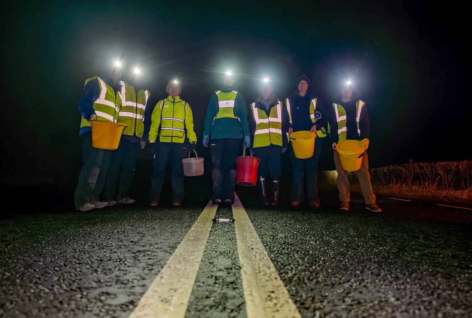 Toad Patrol — West Cumbria Rivers Trust