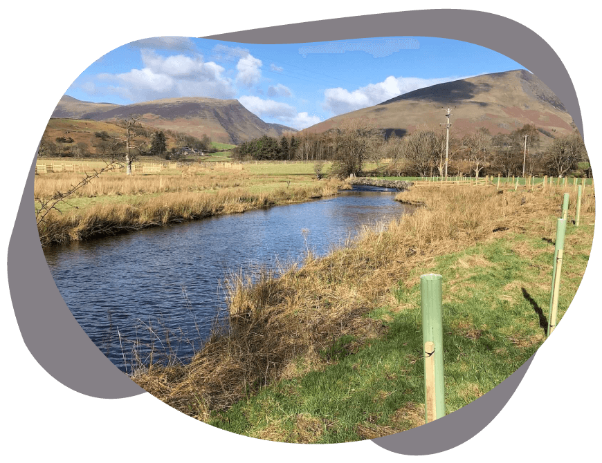 All Projects — West Cumbria Rivers Trust