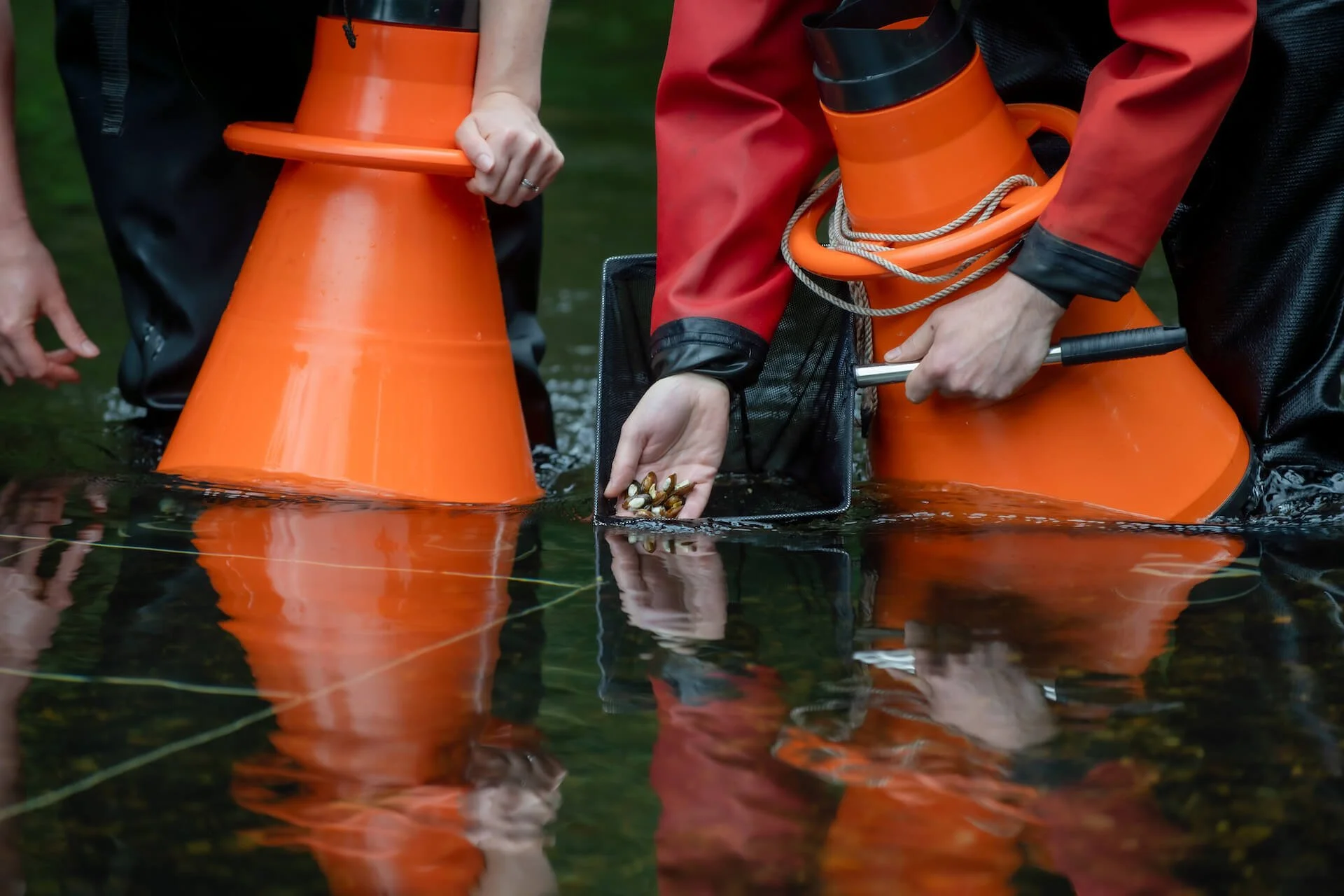River Irt — West Cumbria Rivers Trust